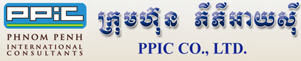 Structure Organization – PPIC LTD